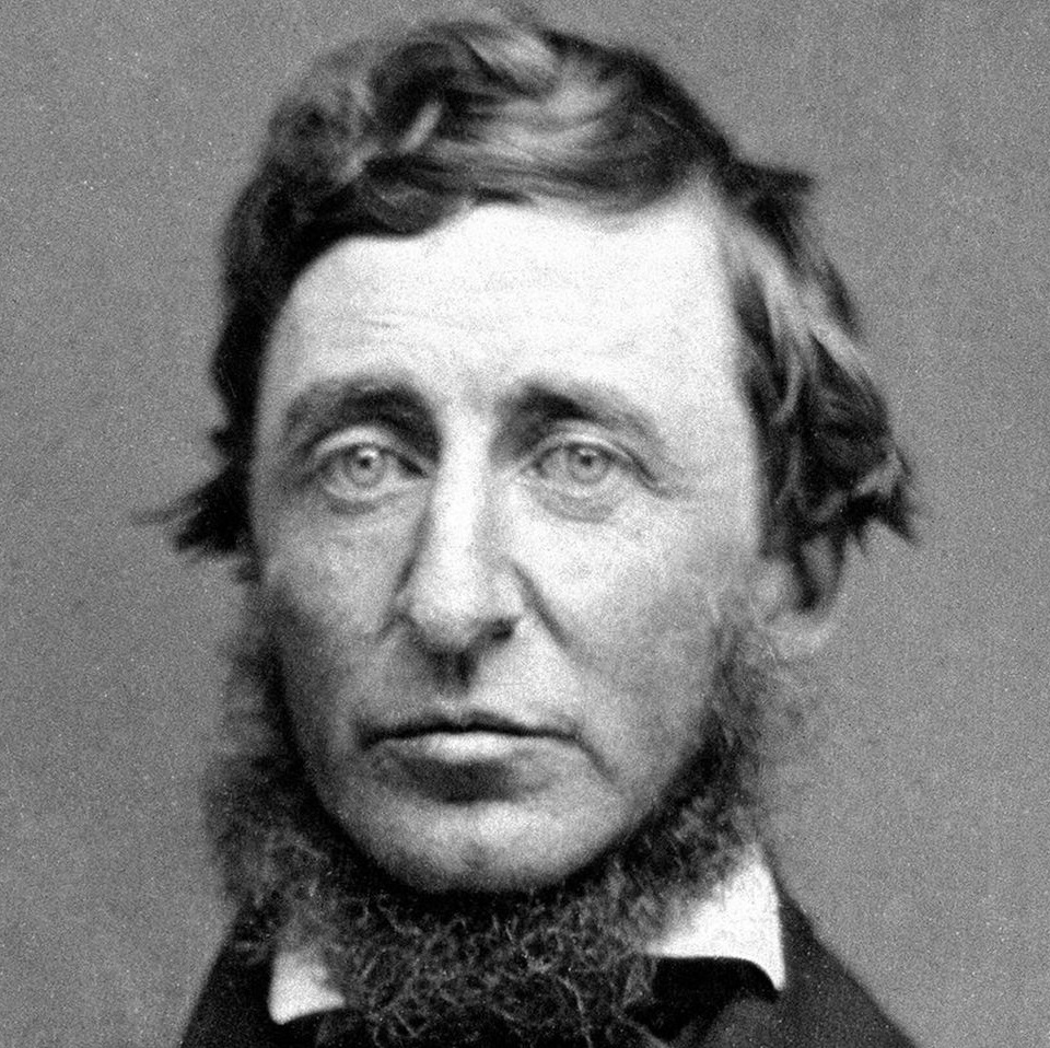 Henry David Thoreau - The Thaw текст
